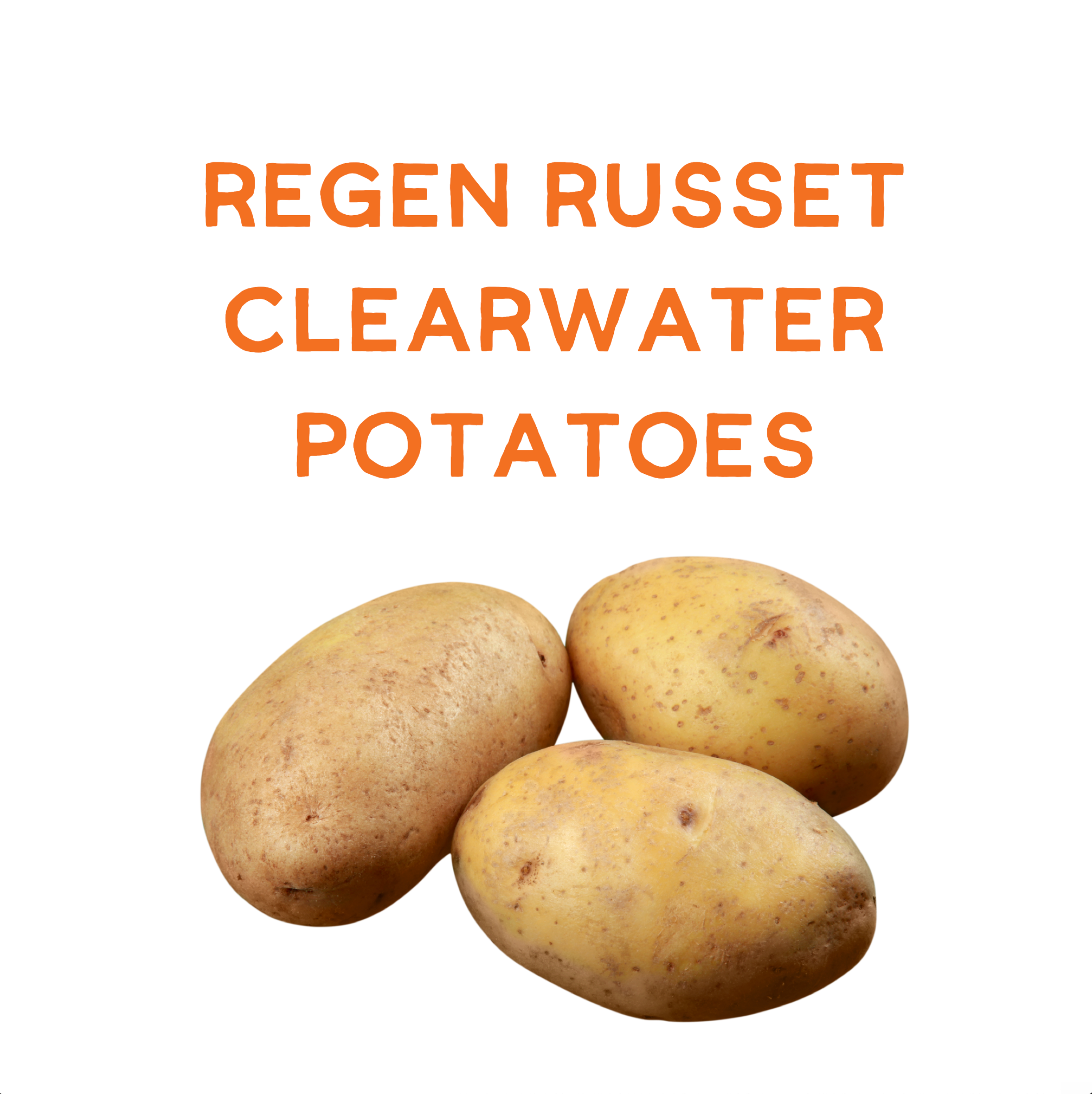 Regen Clearwater Russet Potatoes – Snacktivist